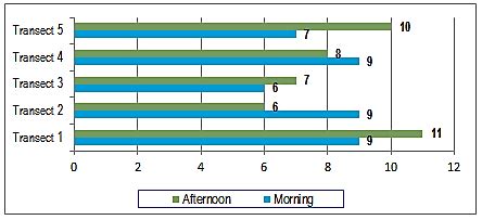 Number Of Bird Species Found In Each Data Transect Between Morning And Download Scientific