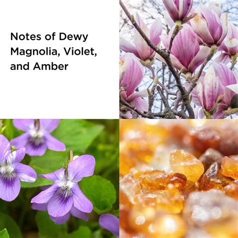 אליזבת ארדן 5th Avenue דאודורנט ספרי 150 מל