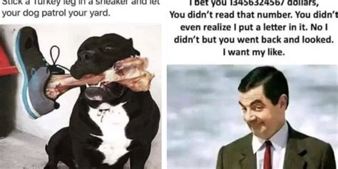 Funny Random Memes Archives Barnorama