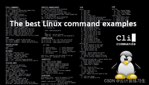 Linux基础命令篇：路径切换、文件和目录创建（pwd、cd、mkdir）打开终端切换到用户显示当前目录 并在当前目录下建立一个新目录包含的