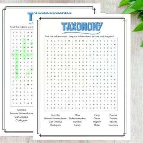 Taxonomy Classification Word Search Puzzle Biology Review Day