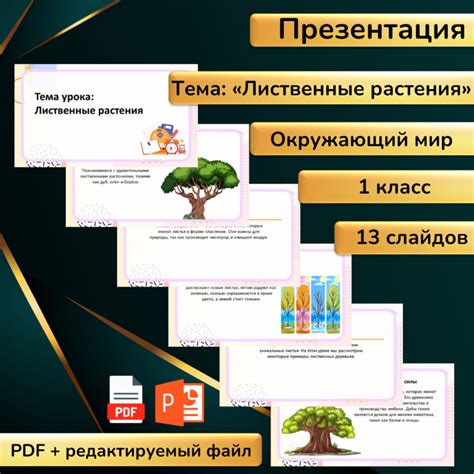 Презентация Окружающий мир 1 класс Тема «Лиственные растения
