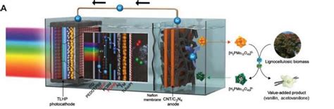 Schematic Illustration Of PEC IMAGE EurekAlert Science News Releases