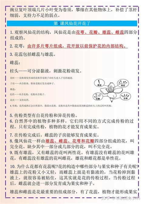 新教科版四年级下册科学全册知识点（1） 知乎