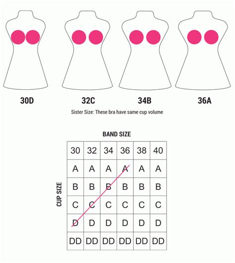 What Does Bust Mean In Bra Size Free Printable Download