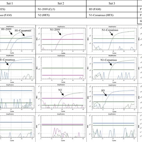 Representative Amplification Curve Showing Typical Patterns Obtained