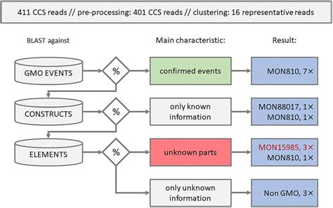 Schematic Overview Of The Data Analysis Workflow Ccs Reads Are First
