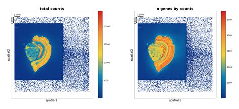 Tissue Segmentation Stereopy