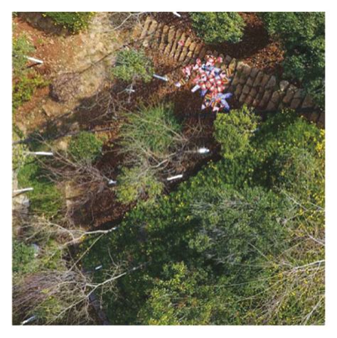 Some Generated Training Samples By Da2 Download Scientific Diagram