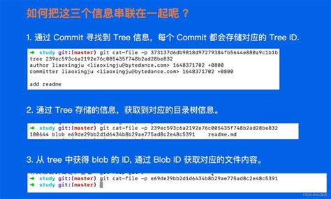 Git基础操作与配置详解 Csdn博客