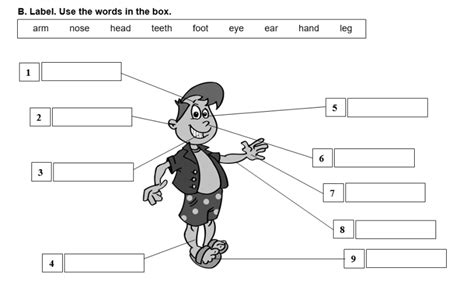 Лексика Частини тіла Завдання №2 Тест з англійської мови «На Урок
