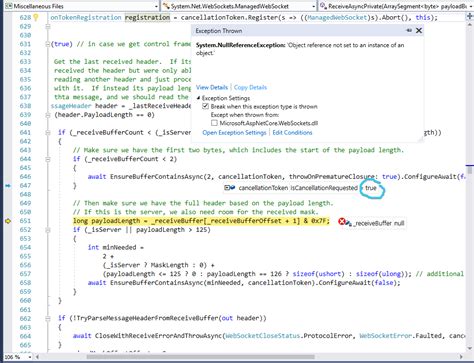 microsoft aspnetcore websockets system nullreferenceexception · issue