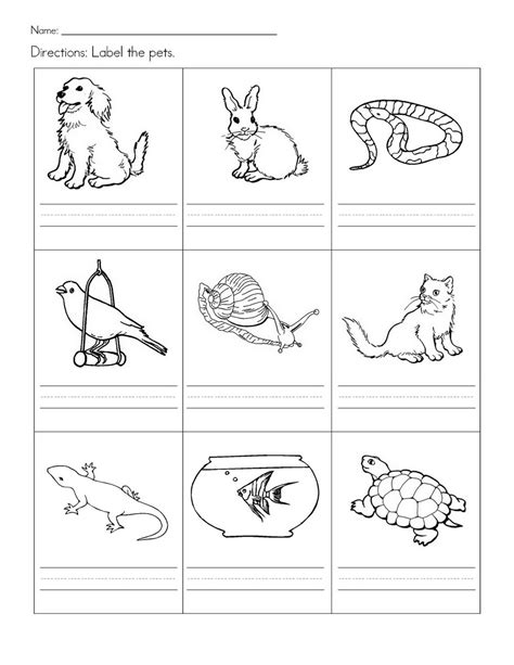 Printable Preschool Pet Theme Worksheets
