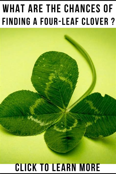 Idahos Parking Problem Finding A Spot Is Like Finding A Four Leaf Clover