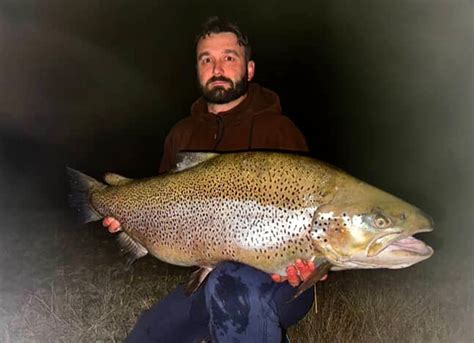 Beast Of A Brown Trout Caught At Night In New Zealand Is A New World
