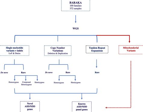 Overview Of Wgs Approach And Variant Prioritization Download Scientific Diagram