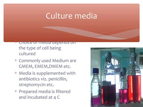 Cell Culture Introduction Ppt