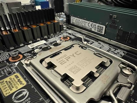 Green Hosting That Cares For The Planet Zume Hosting