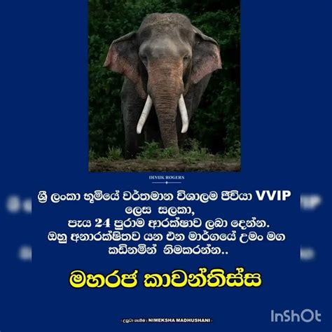 එක්වෙමු අපේ හස්තිපරපුර රැකගමු 🐘🖤🙏 ️ Youtube