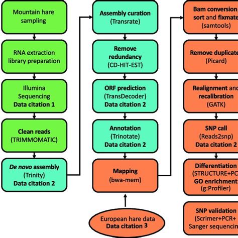 Annotation Summary Number Of Transcripts Annotated With Different Download Scientific Diagram