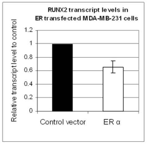 Positive Association Between Nuclear Runx2 And Oestrogen Progesterone