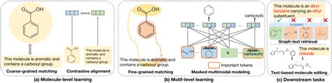 [논문 리뷰] Advancing Molecular Graph Text Pre Training Via Fine Grained