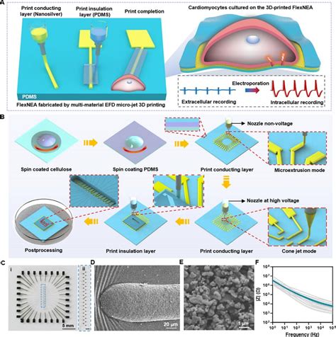 我校在三维打印柔性电极阵列及高性能细胞内电生理记录方面取得重要科研进展 青岛理工大学 机械与汽车工程学院