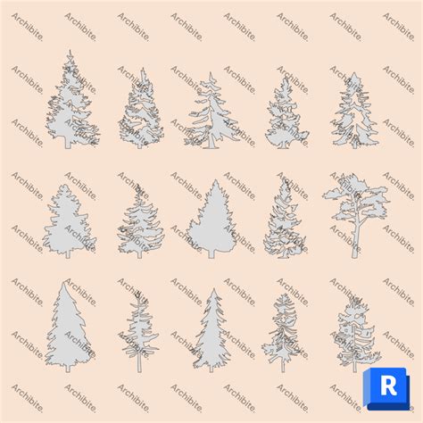 Detail Item Summer Trees Elevation Archibite Com