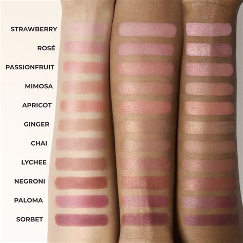 Blush And Brush Bundle