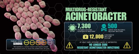 Acinetobacter Disease Properties Resistance • Microbe Online