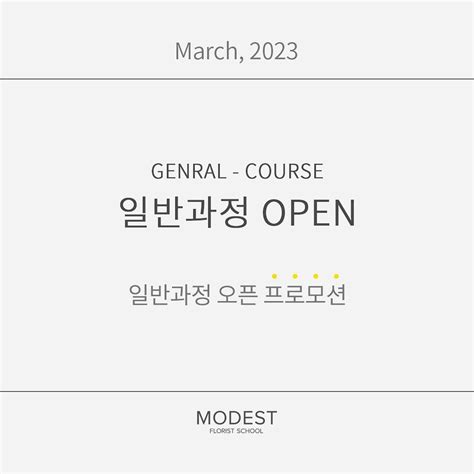 모데스트 플로리스트 학원 3월 일반과정 오픈 모데스트 플로리스트 학원 국비지원 과정이 많은