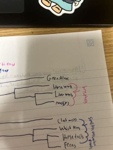 Unit 2 Bio 205 Flashcards Quizlet
