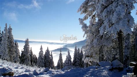 Jayakar 3d Name Wallpaper For Mobile Write जयकार Name On Photo Online