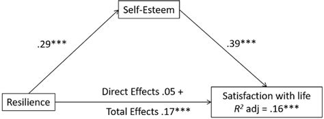 Table 1 From The Mediating Role Of Self Esteem In The Relationship Between Resilience And