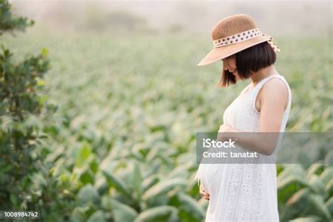 임신한 여 자가 그녀의 큰 배를 만지고 하 고 공원에서 산책 임신에 대한 스톡 사진 및 기타 이미지 임신 여자 어머니 Istock
