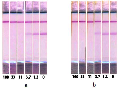 Test Strips Showing Tet Concentration Indicated Under Each Test In Download Scientific Diagram