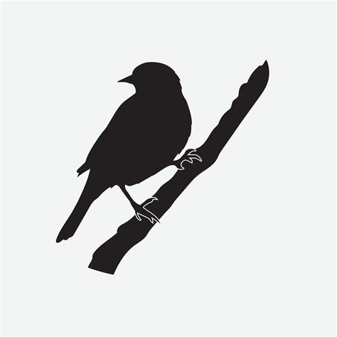 Bird Vector Png 29749822 Vector Art At Vecteezy