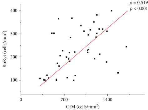 Graphs Showing The Correlation Between The Cellular Density Of Rorγt⁺ Download Scientific