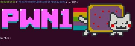 An Intro To Ret2libc And Pwntools 64bit Stacklikemind