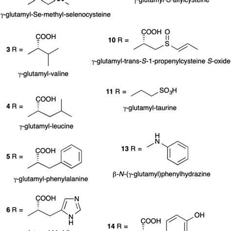 Examples Of γ Glutamyl Derivatives Download Scientific Diagram