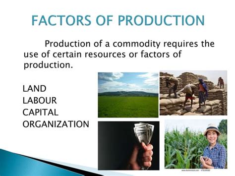 PRODUCTION PROCESS FACTORS OF PRODUCTION INPUT OUTPUT RELATIONSHIP PPTX Business