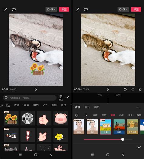 剪映APP高级版下载 剪映破解版解锁收费功能 DM孵化园