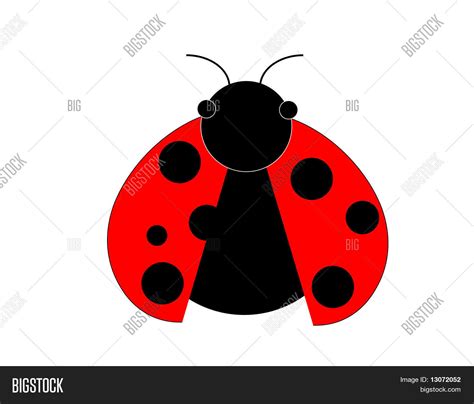 Ladybug Wings Open Vector And Photo Free Trial Bigstock