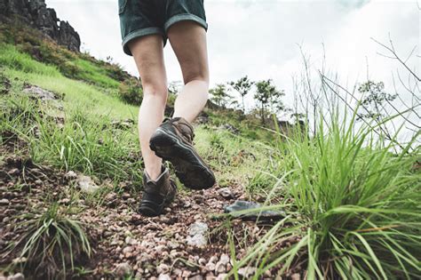 배낭을 걷고 야외산 자연으로 여행하는 등산객 여성 트레킹 관광 활동을위한 모험 하이킹 스포츠 라이프 스타일 자유 휴식여름 휴가