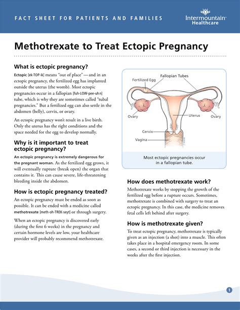 Methotrexate To Treat Ectopic Pregnancy Fact Sheet Docslib