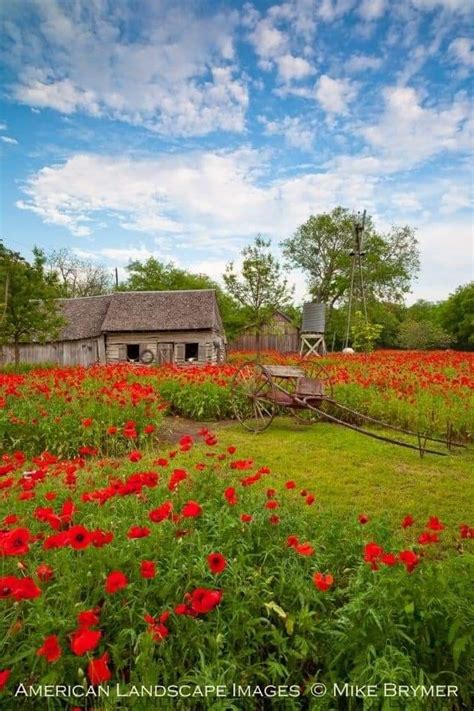 Pin De Clau Lopes Em Paisagem Photos Black And White Land Scape Fotos