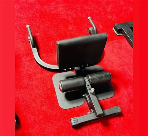 Sissy Squat Machine Weight 100 Kg For Used In Gym At ₹ 7000 In Sas Nagar