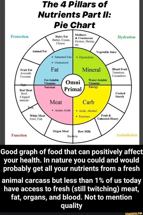 The 4 Pillars Of Nutrients Part Ii Pie Chart Fat Saturated Fats