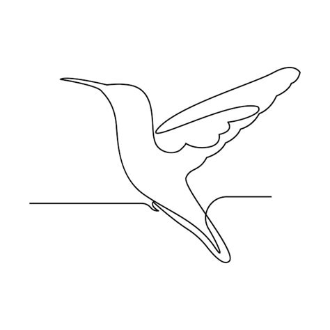Premium Vector Hummingbird Continuous One Line Drawing Illustration Art Vector Design