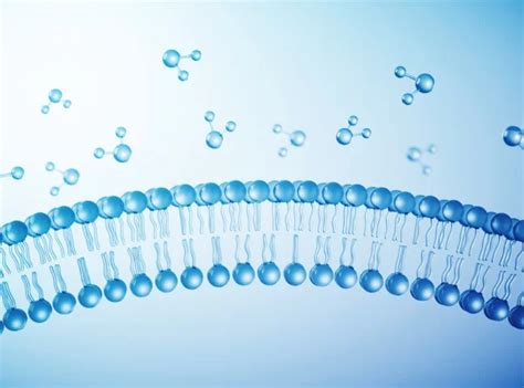 What Are Physicochemical Properties And Their Importance In Product Development Digi Blogs